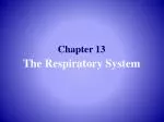 PPT - Chapter 13 The Respiratory System Pathology PowerPoint ...