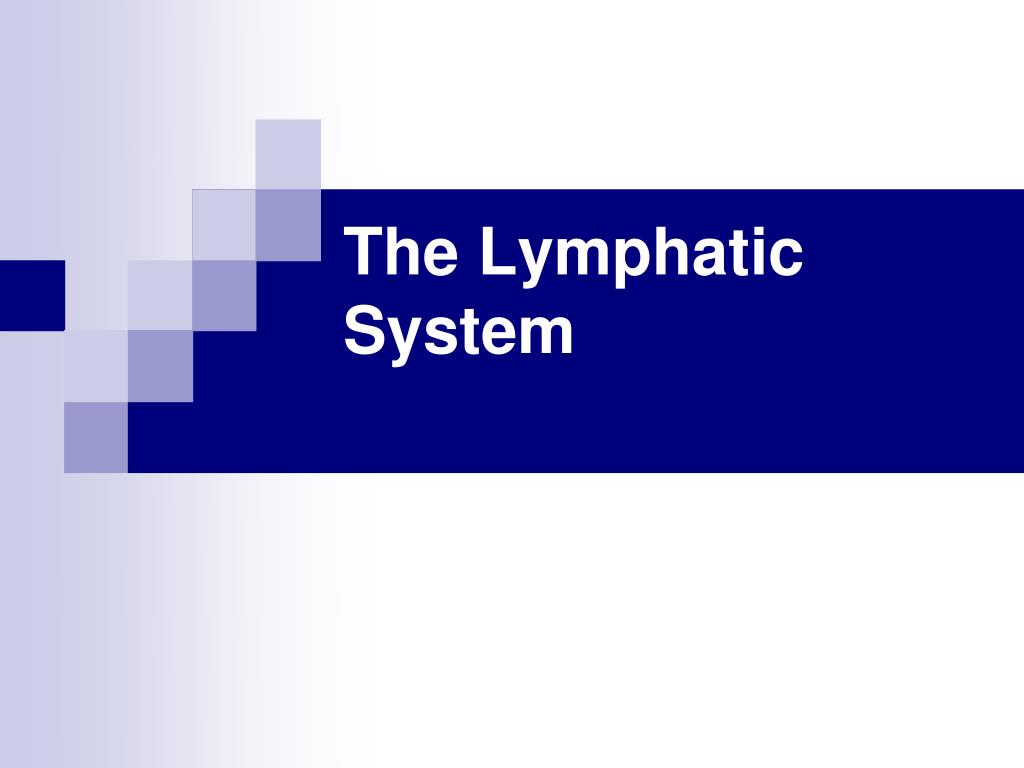 PPT - The Lymphatic System PowerPoint Presentation, free download - ID ...