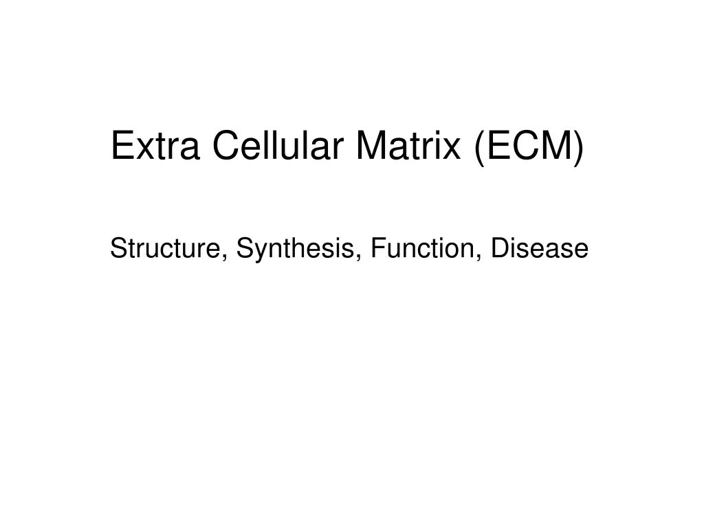 PPT - Extra Cellular Matrix (ECM) Structure, Synthesis, Function ...