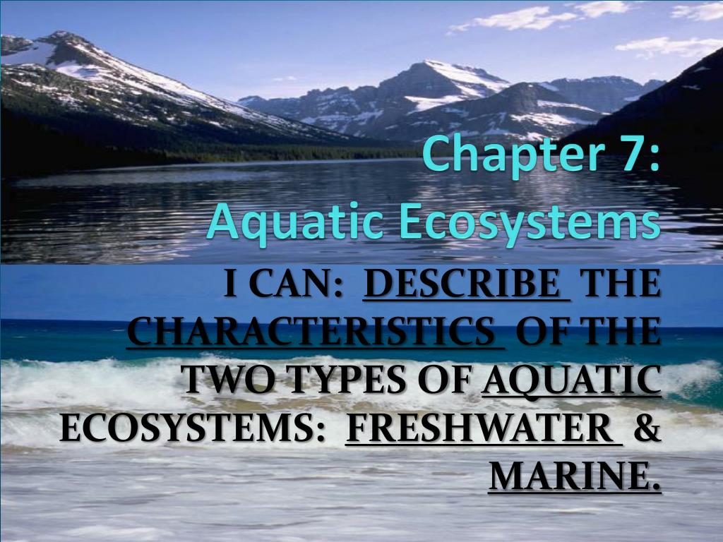 PPT - Chapter 7: Aquatic Ecosystems PowerPoint Presentation, free ...