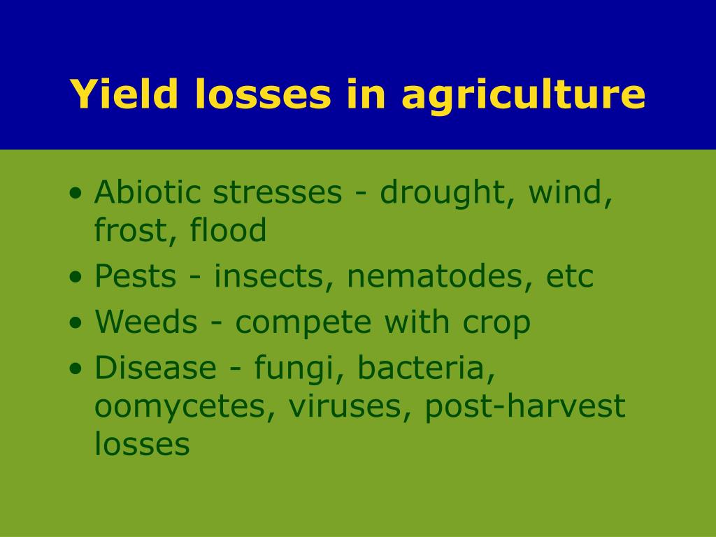 PPT - Yield losses in agriculture PowerPoint Presentation, free ...