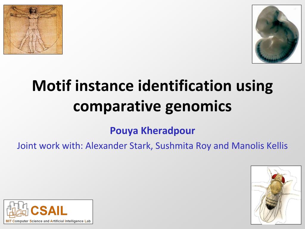 PPT - Motif instance identification using comparative genomics ...