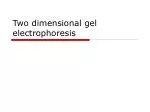 PPT - What is a Two-Dimensional (2D) Instructional Materials ...