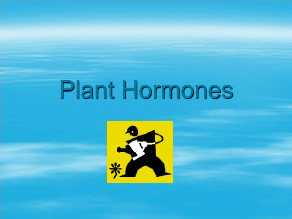 PPT - Plant Hormones PowerPoint Presentation, free download - ID:1817884