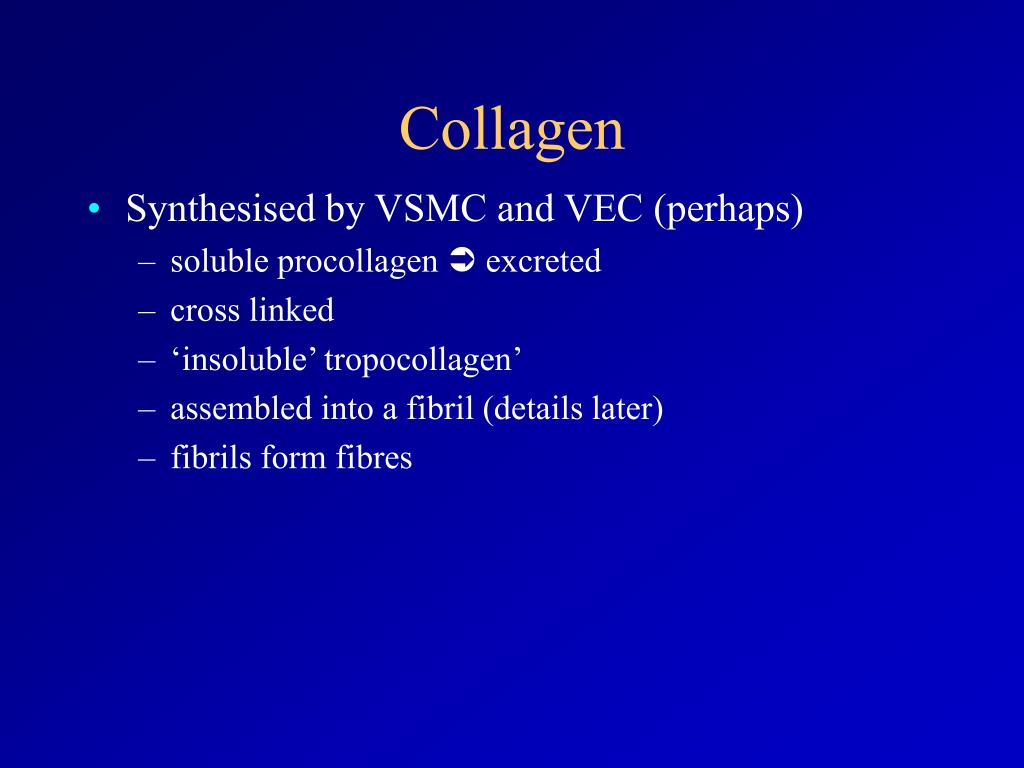 PPT - Collagen PowerPoint Presentation, free download - ID:1820122