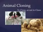 PPT - Animal Cloning PowerPoint Presentation, free download - ID:864866