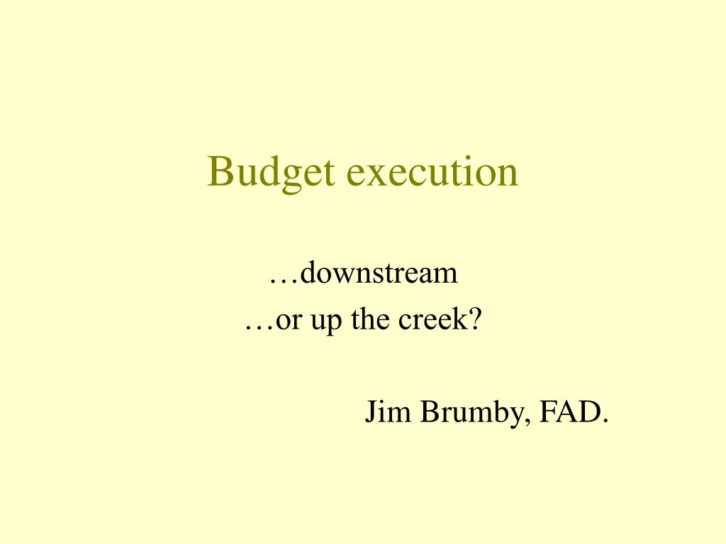PPT - Budget execution PowerPoint Presentation, free download - ID:1822288