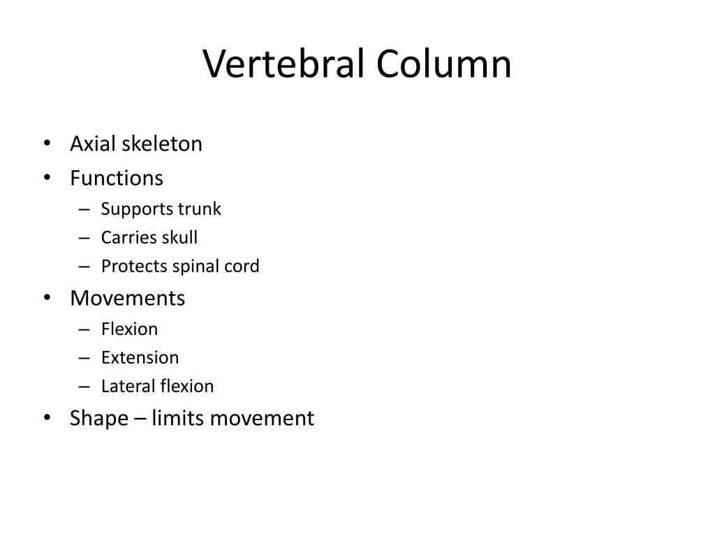 PPT - Vertebral Column PowerPoint Presentation, free download - ID:1822570