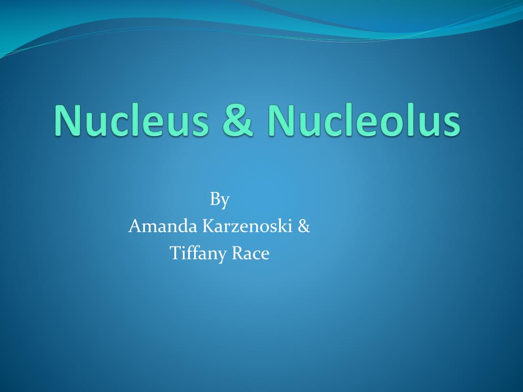 PPT - Nucleus & Nucleolus PowerPoint Presentation, free download - ID ...