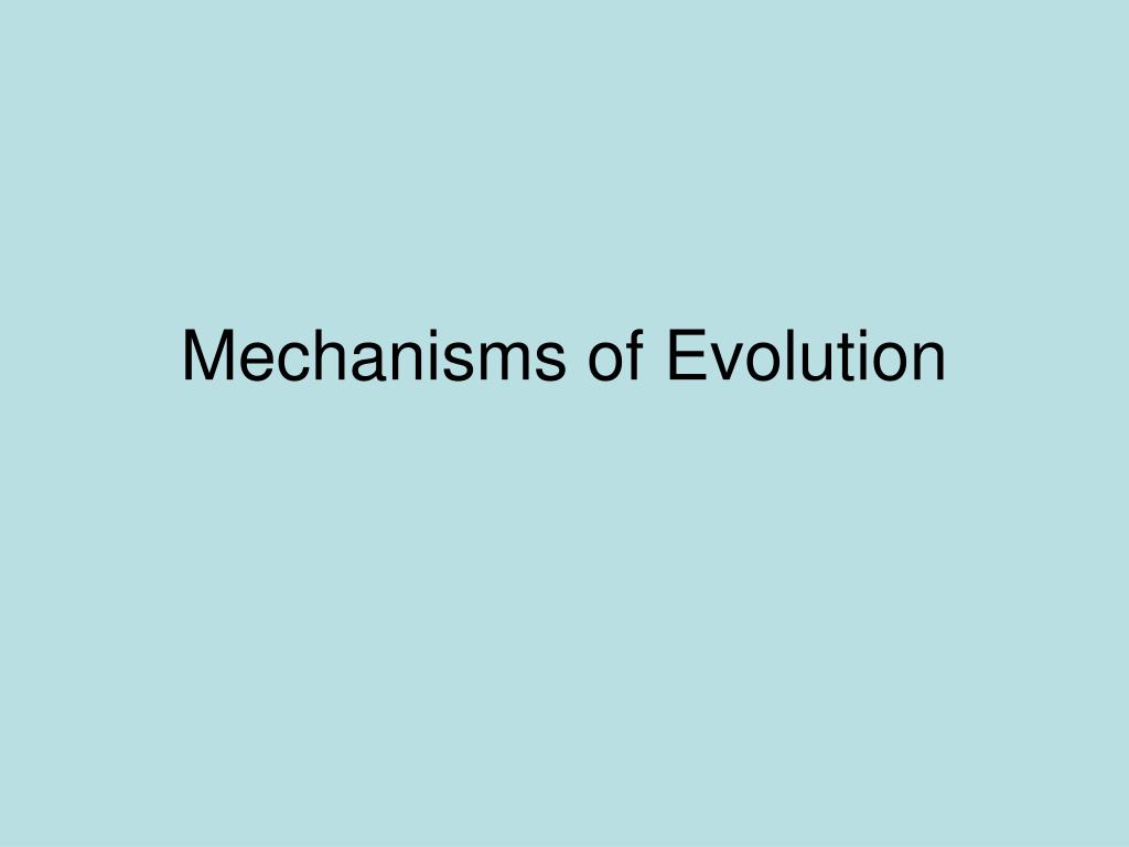 PPT - Mechanisms of Evolution PowerPoint Presentation, free download ...