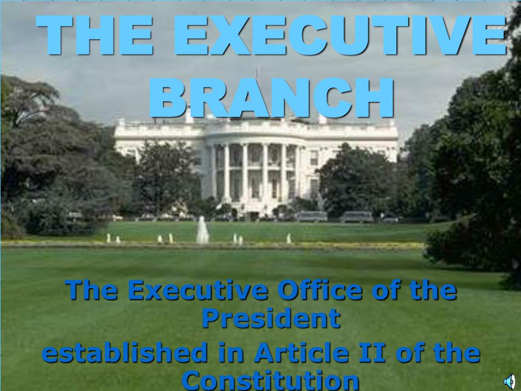 PPT - THE EXECUTIVE BRANCH PowerPoint Presentation, free download - ID ...