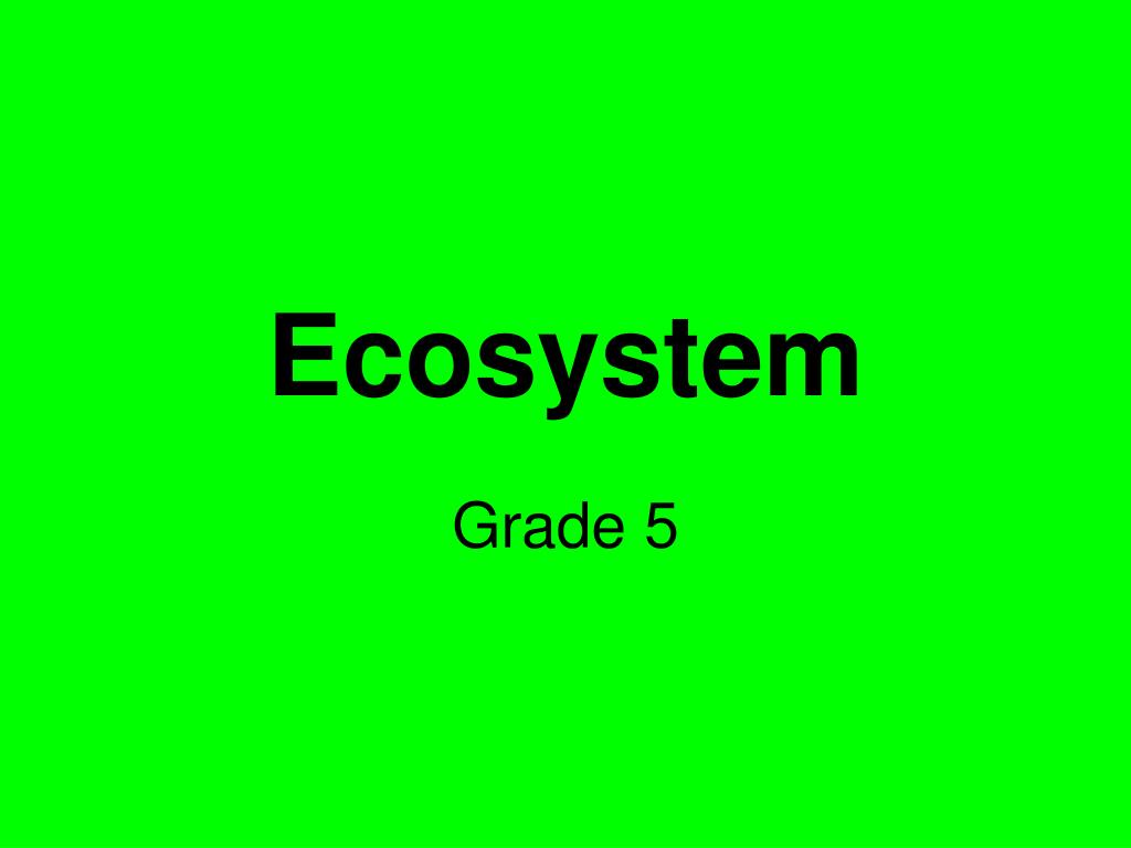 PPT - Ecosystem PowerPoint Presentation, free download - ID:1824755