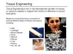 PPT - Tissue Engineering PowerPoint Presentation, free download - ID:782634