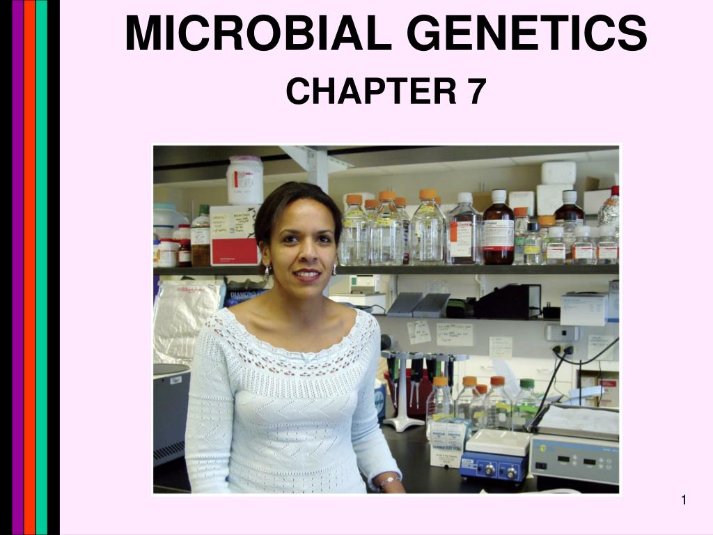 Ppt Microbial Genetics Powerpoint Presentation Free Download Id 1826747