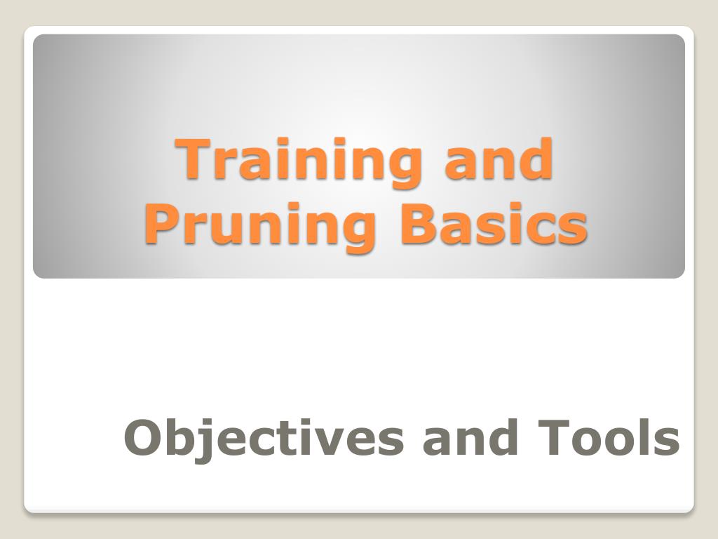 PPT - Training and Pruning Basics PowerPoint Presentation, free ...