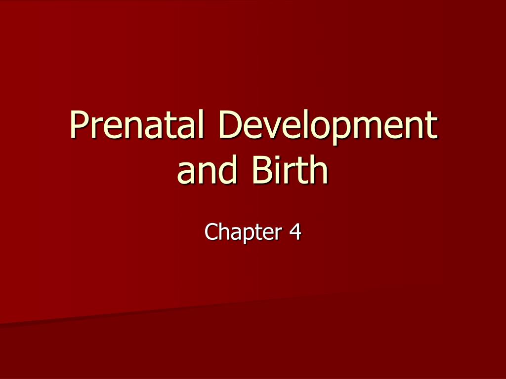 PPT - Prenatal Development and Birth PowerPoint Presentation, free ...