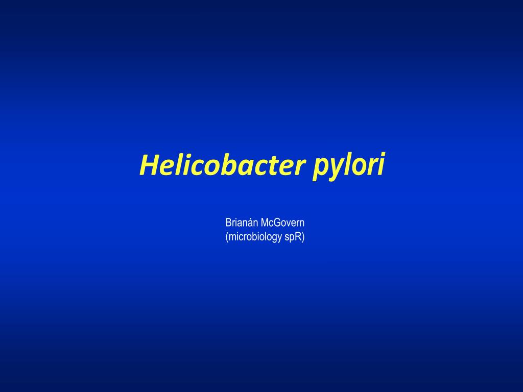 PPT - Helicobacter pylori PowerPoint Presentation, free download - ID ...