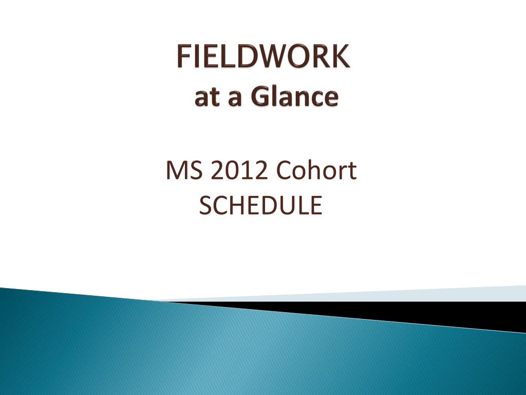 PPT - FIELDWORK at a Glance PowerPoint Presentation, free download - ID ...