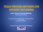 PPT - Chapter 3 Sectioning PowerPoint Presentation, free download - ID ...