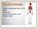 PPT - The Axial Age PowerPoint Presentation, free download - ID:742000
