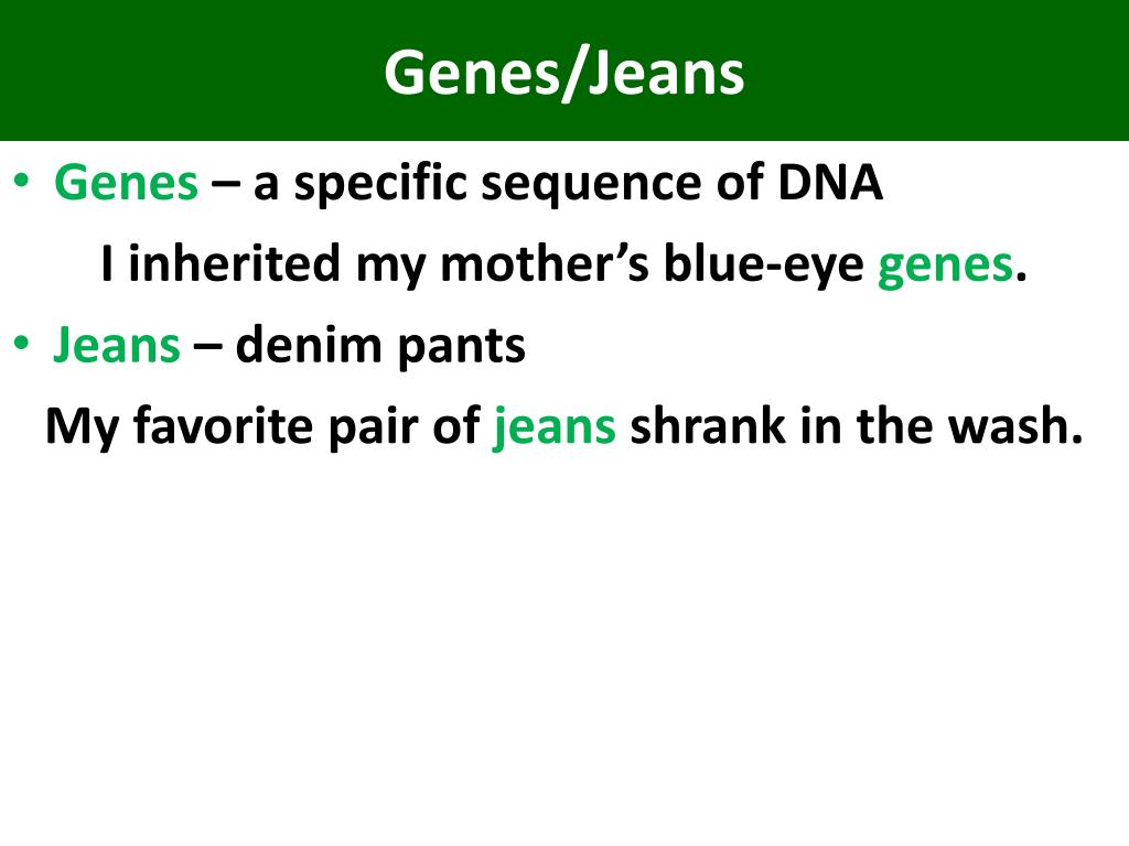 PPT - Genes /Jeans PowerPoint Presentation, free download - ID:1837685