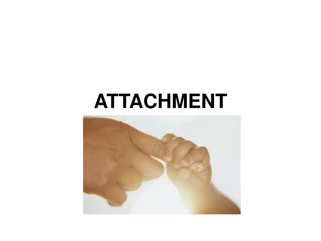 PPT - ATTACHMENT PowerPoint Presentation, free download - ID:1840216