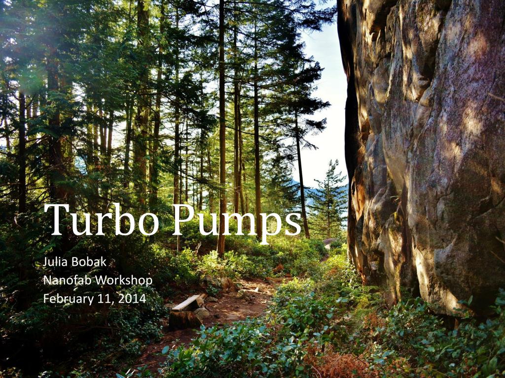 PPT - Turbo Pumps PowerPoint Presentation, free download - ID:1840420