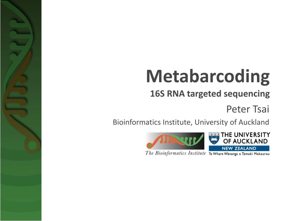 PPT - Metabarcoding 16S RNA targeted sequencing PowerPoint Presentation - ID:1840522