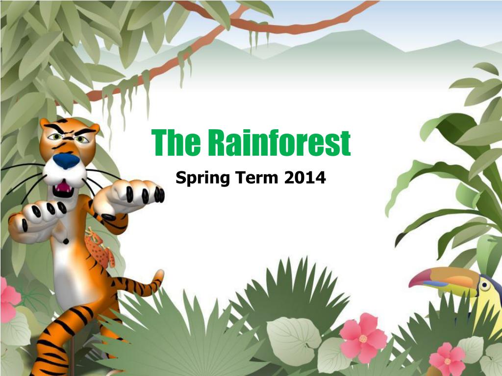 PPT - The Rainforest PowerPoint Presentation, free download - ID:1841928