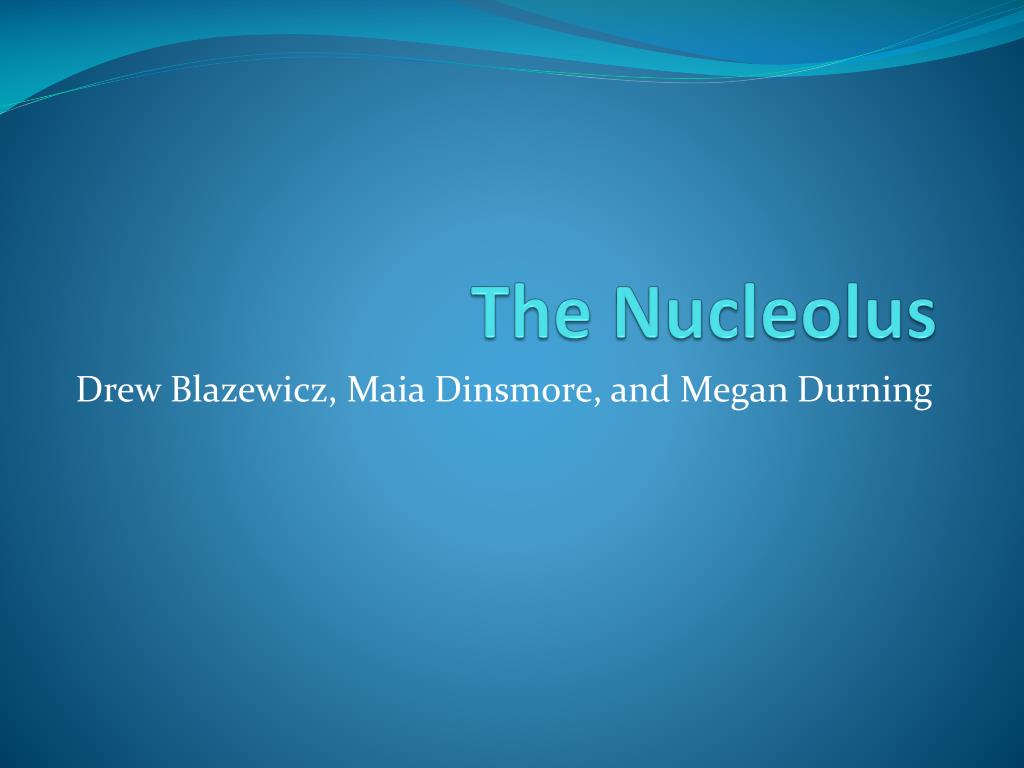 PPT - The Nucleolus PowerPoint Presentation, free download - ID:1844644