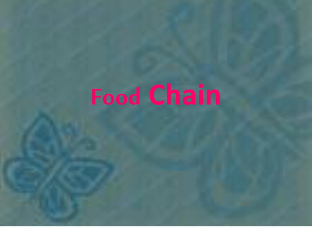 PPT - Food Chain PowerPoint Presentation, free download - ID:1844674