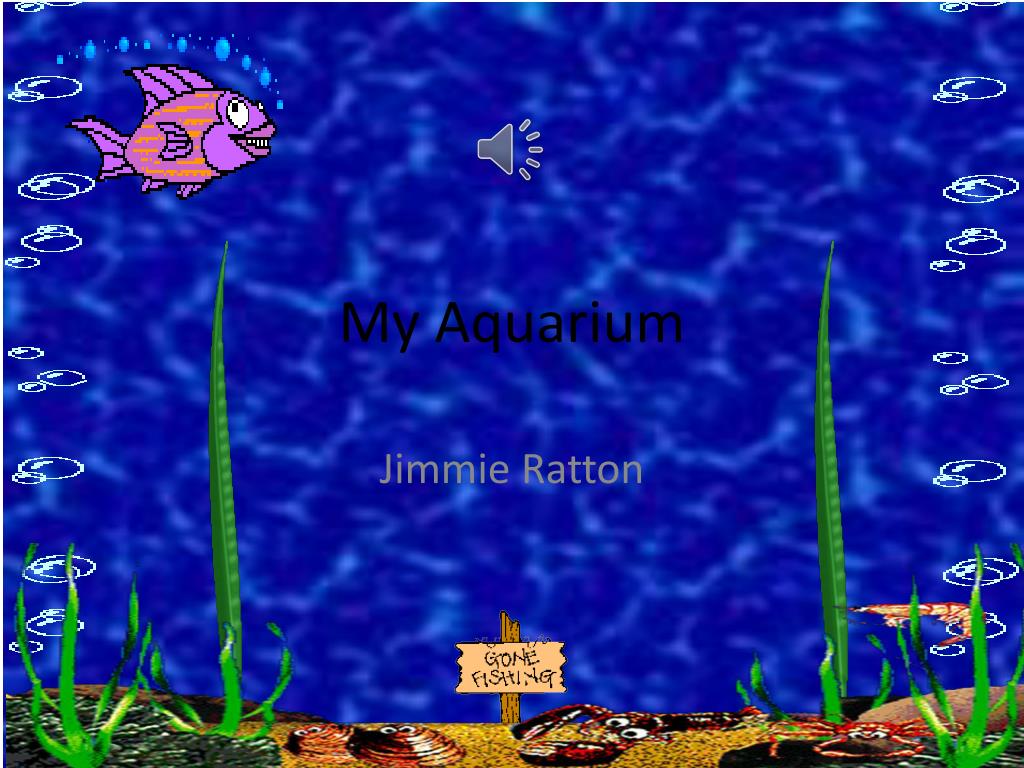 PPT - My Aquarium PowerPoint Presentation, free download - ID:1845972