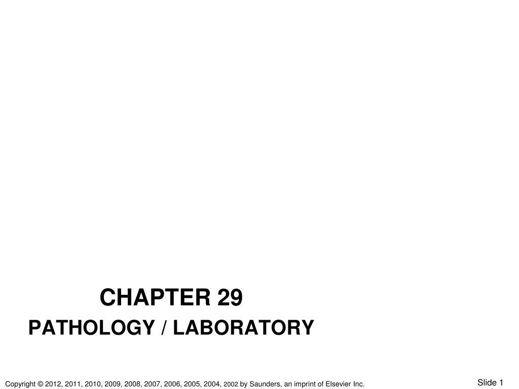 PPT - CHAPTER 29 PowerPoint Presentation, free download - ID:1846021