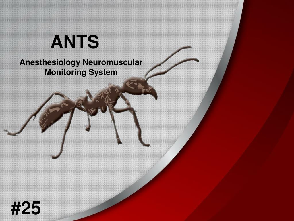 PPT - ANTS PowerPoint Presentation, free download - ID:1846596