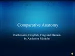 PPT - Comparative Anatomy PowerPoint Presentation, free download - ID ...