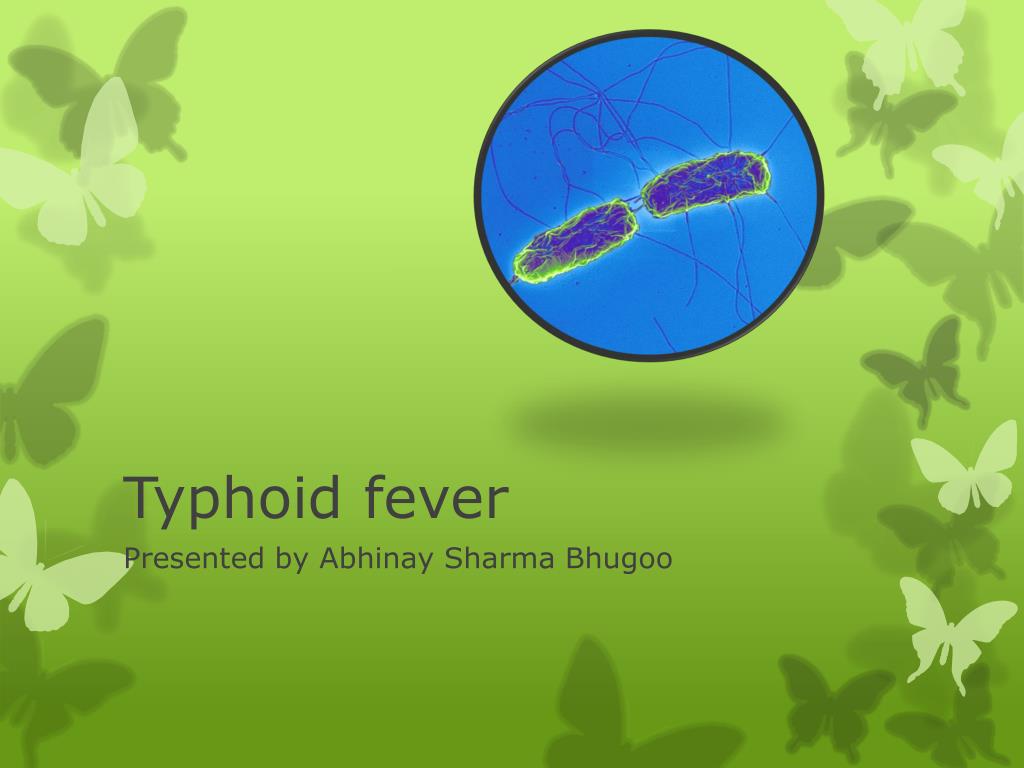PPT - Typhoid fever PowerPoint Presentation, free download - ID:1848155