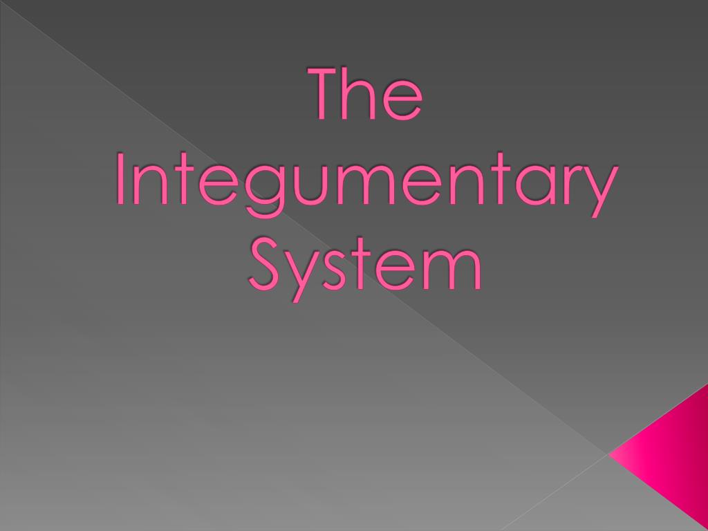 PPT - The Integumentary System PowerPoint Presentation, free download ...