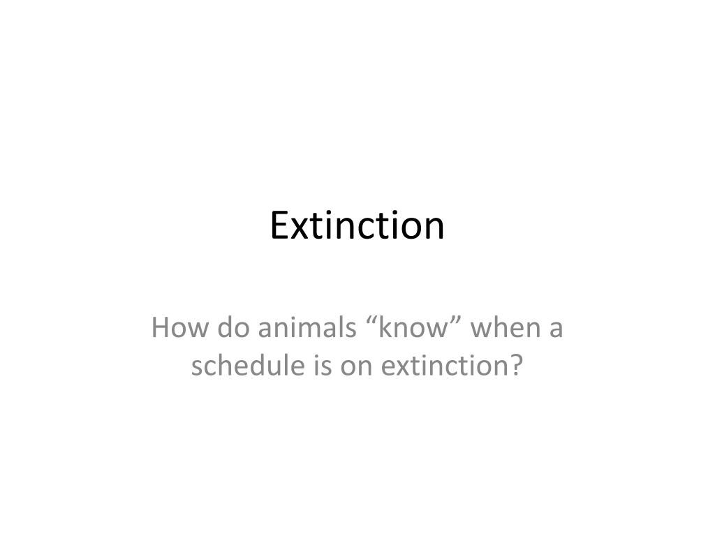 PPT - Extinction PowerPoint Presentation, free download - ID:1849969