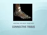 PPT - Lab Exercise 5 Classification of Tissues: Connective Tissue ...
