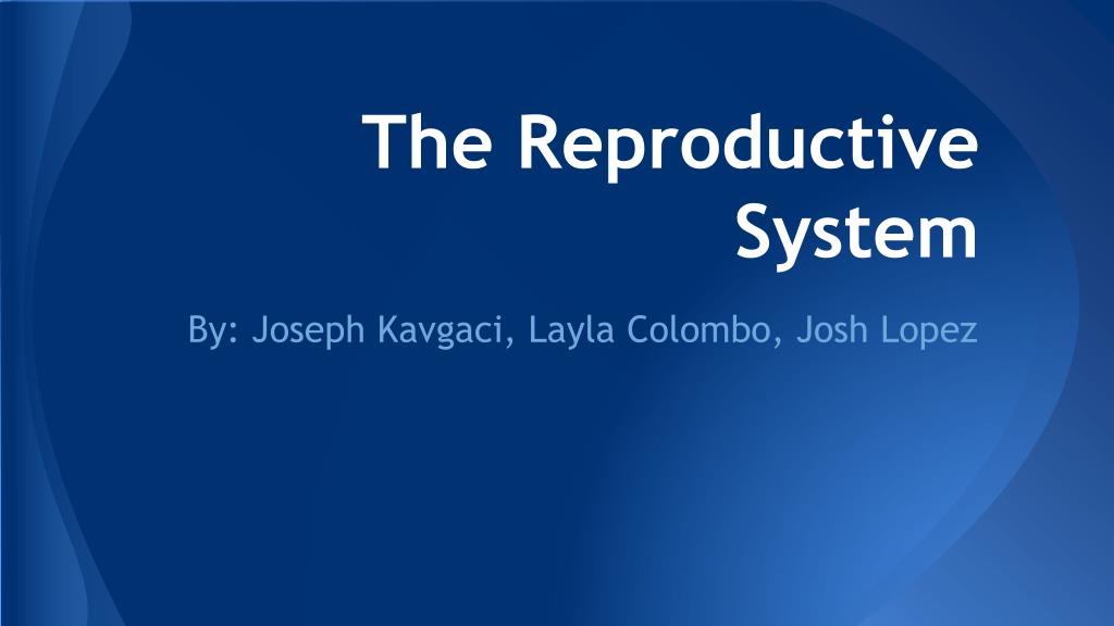 PPT - The Reproductive System PowerPoint Presentation, free download ...