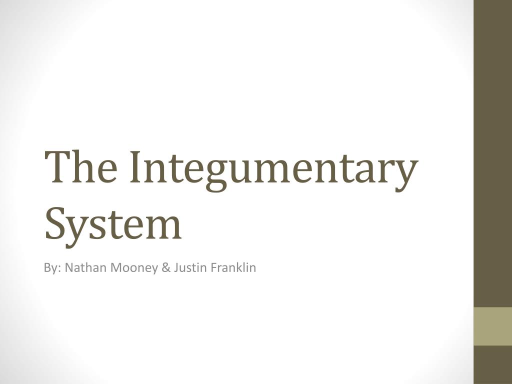 PPT - Understanding the Integumentary System: Skin, Hair, Nails, and ...