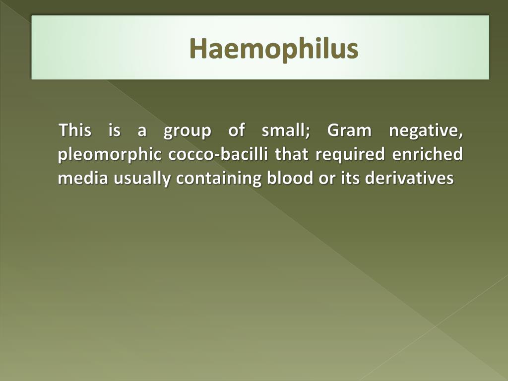 PPT - Haemophilus PowerPoint Presentation, free download - ID:1859049