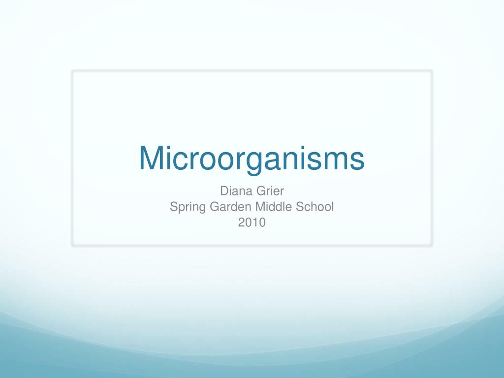 PPT - Microorganisms PowerPoint Presentation, free download - ID:1862098