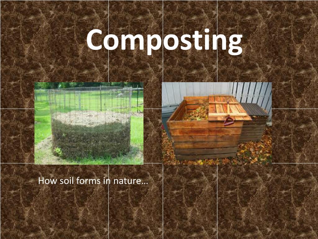 PPT - Composting PowerPoint Presentation, free download - ID:1862154