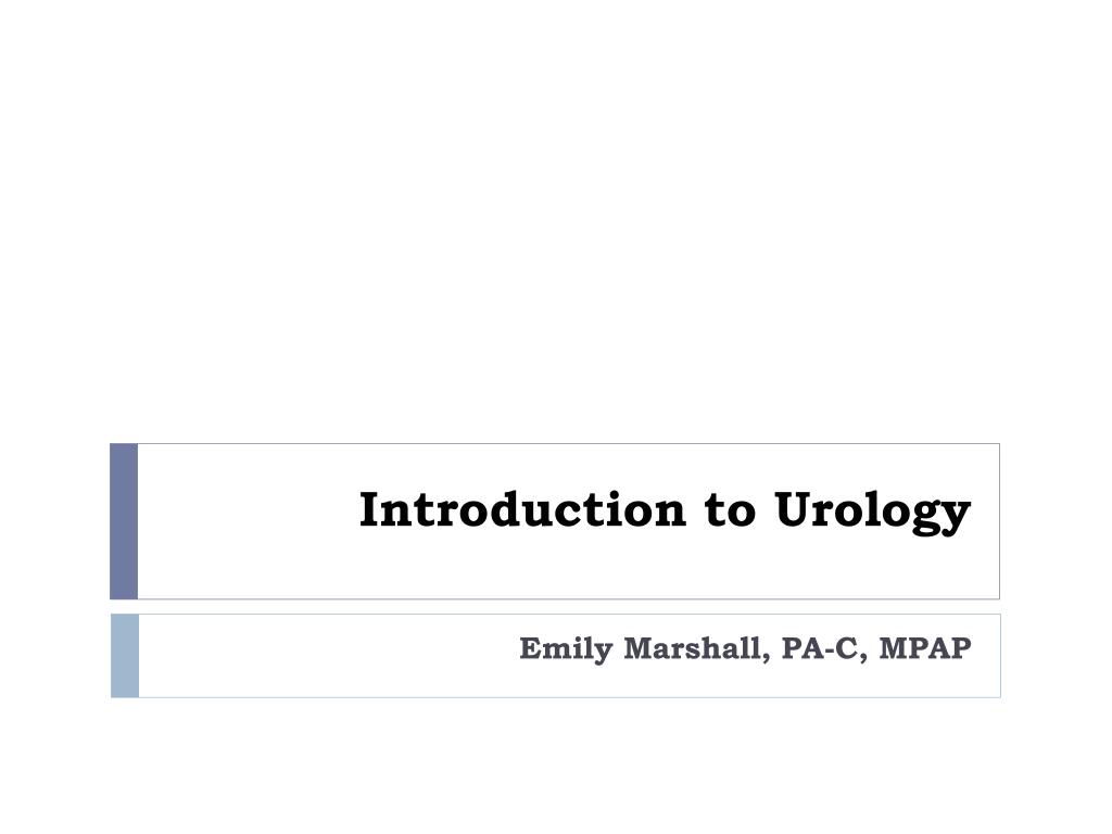 PPT - Introduction to Urology PowerPoint Presentation, free download ...