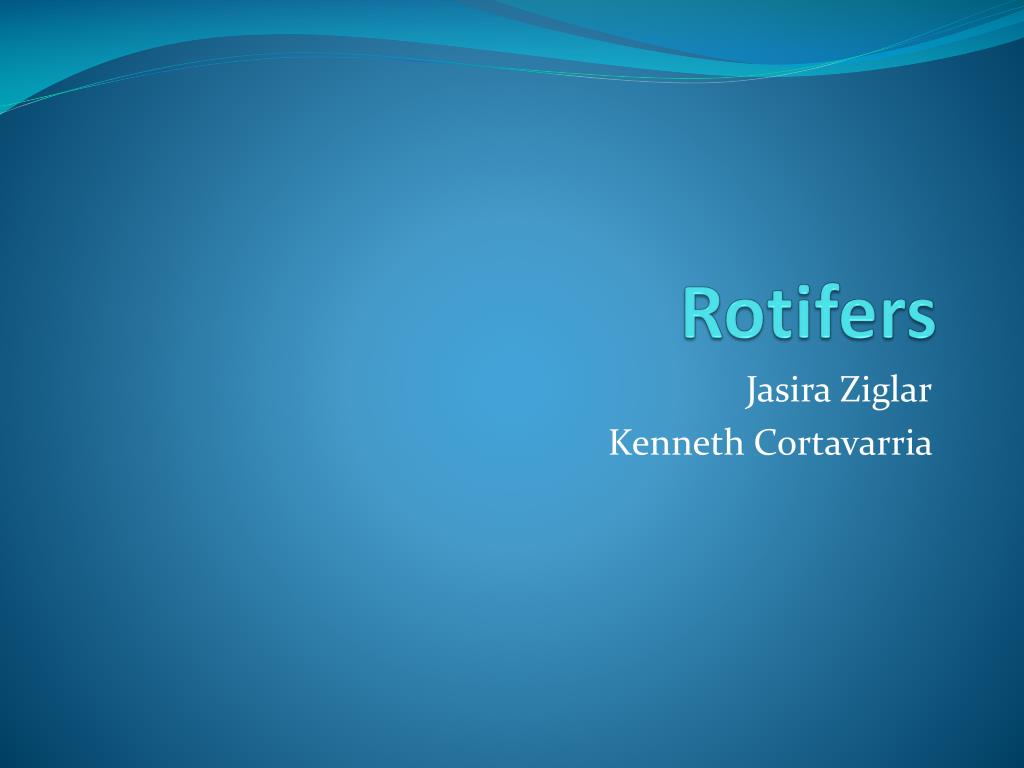 PPT - Rotifers PowerPoint Presentation, free download - ID:1862311