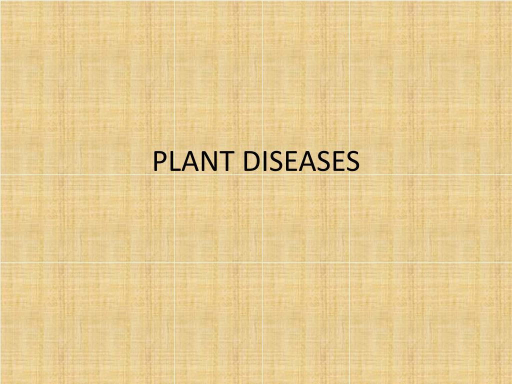 PPT - PLANT DISEASES PowerPoint Presentation, free download - ID:1862653