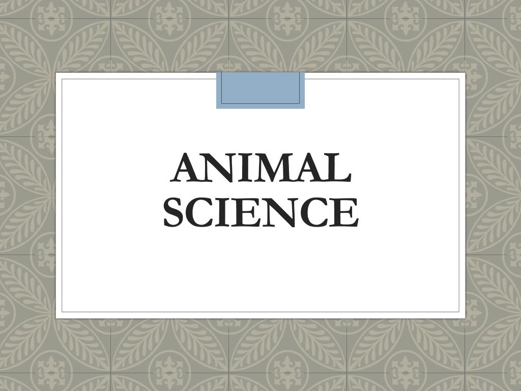 PPT - ANIMAL SCIENCE PowerPoint Presentation, free download - ID:1862885