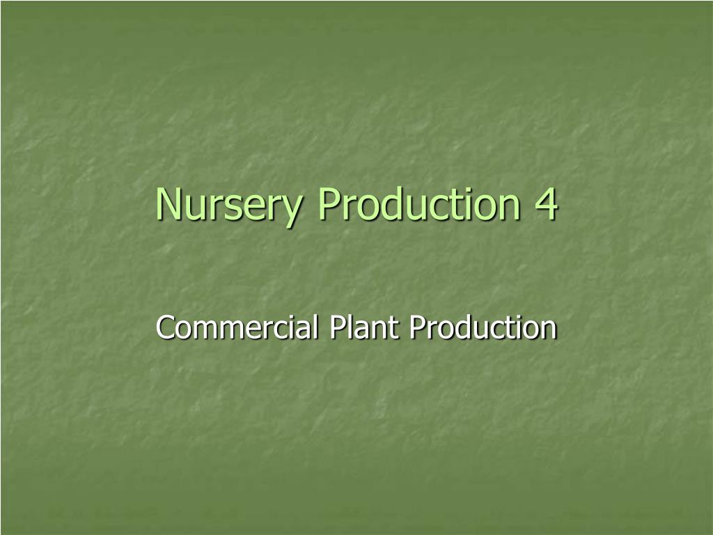 PPT - Nursery Production 4 PowerPoint Presentation, free download - ID ...