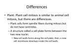 PPT - LEARNER DIFFERENCES PowerPoint Presentation, free download - ID:5753099